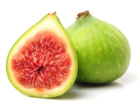 FIGS - LOCAL - Mgarr Farms