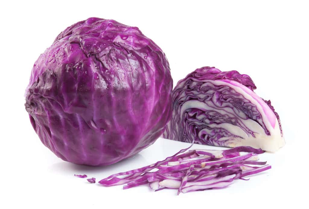 CABBAGE - RED - Mgarr Farms