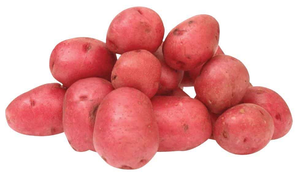POTATOES - RED - Mgarr Farms