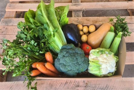 HAMPER - VEGETABLES ONLY - Mgarr Farms